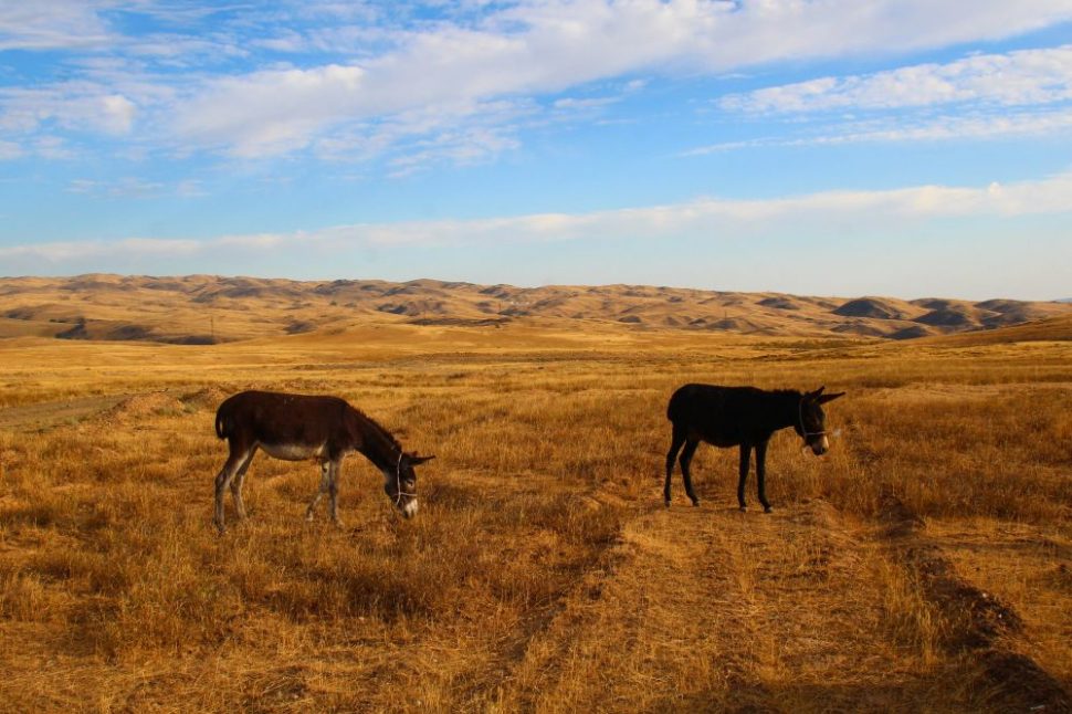 Poznejte historii a kulturu kazašské stepi – 21stoleti.cz