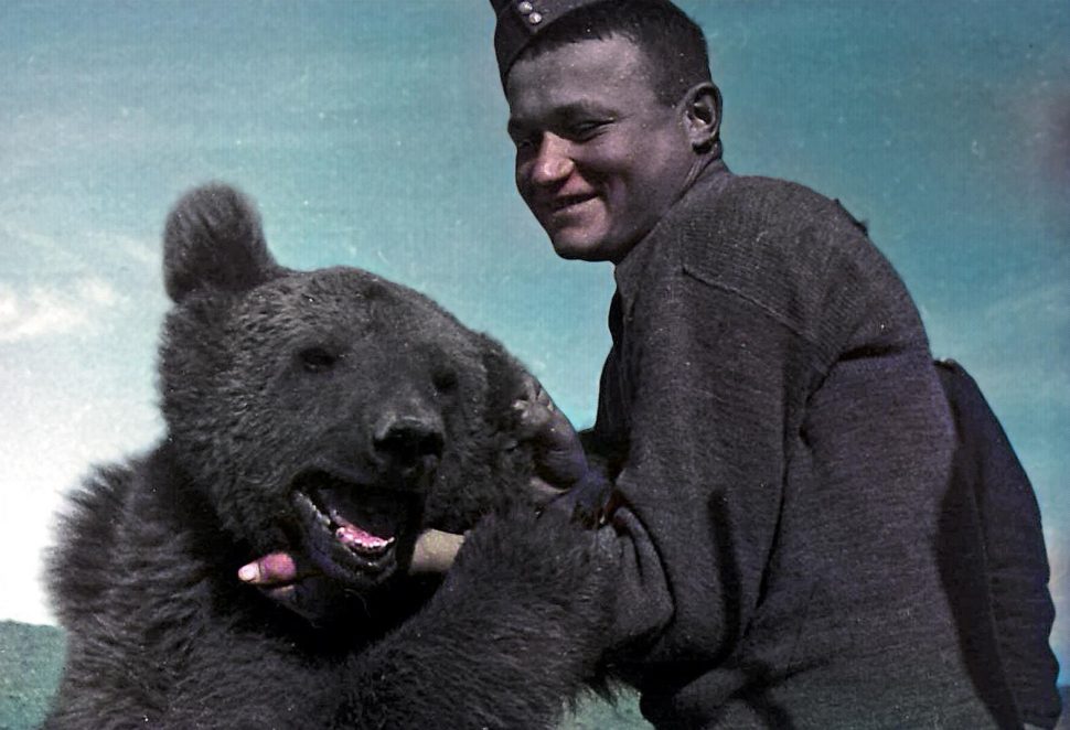 Desátník Wojtek: Medvěd v uniformě, který miloval pivo – 21stoleti.cz