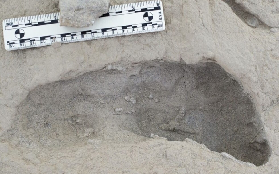 10 vyhynulých čtvrtohorních obrů – 21stoleti.cz