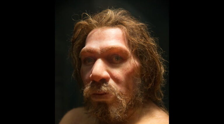 Líbali se neandertálci s předchůdci člověka? Podle nové studie rozhodně ...
